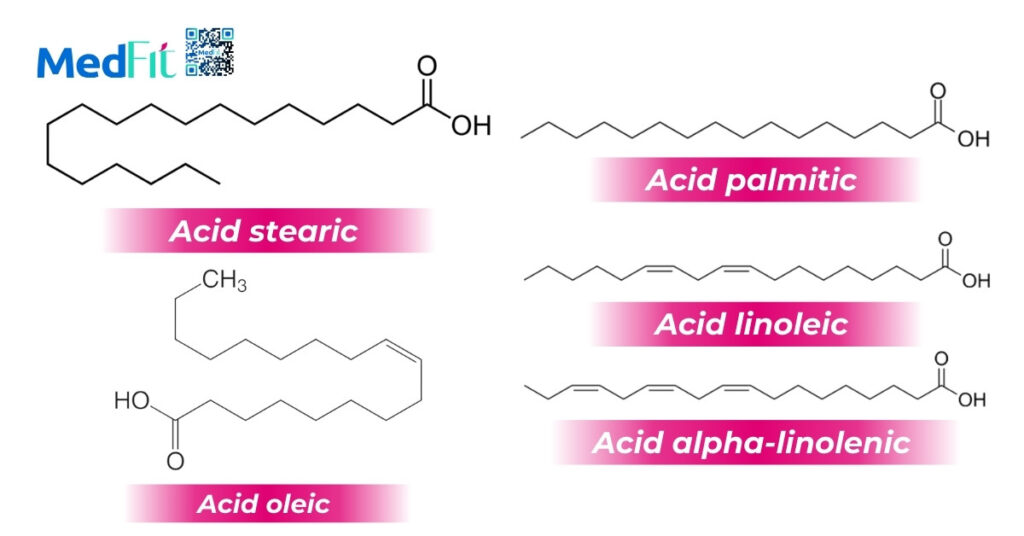 Triglyceride chuỗi trung bình là gì và vai trò trong giảm cân